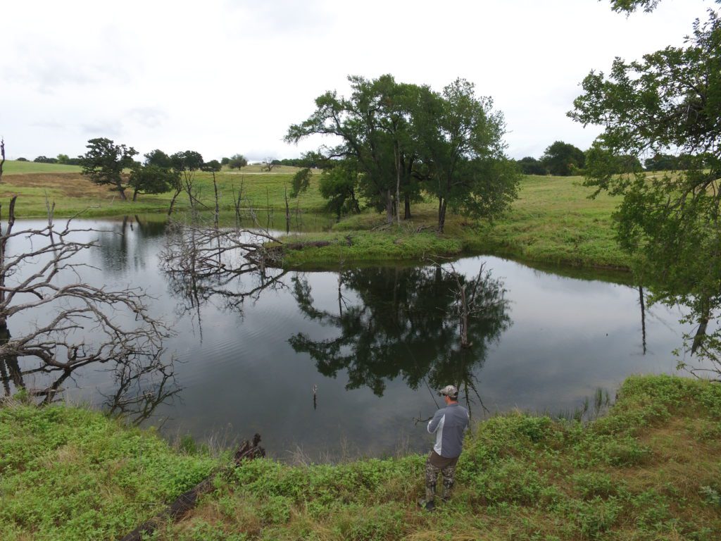 Best Freshwater Fishing Experience in Texas | Cotton Mesa Trophy ...