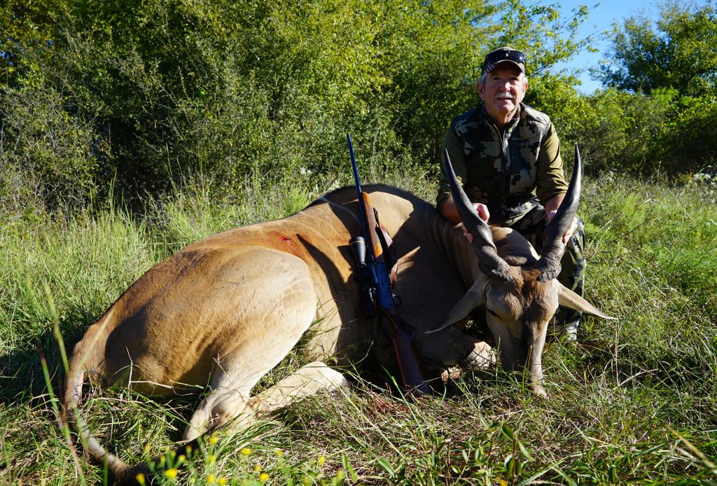 Eland Hunt in Texas | Eland Hunting Packages | Cotton Mesa Whitetail ...